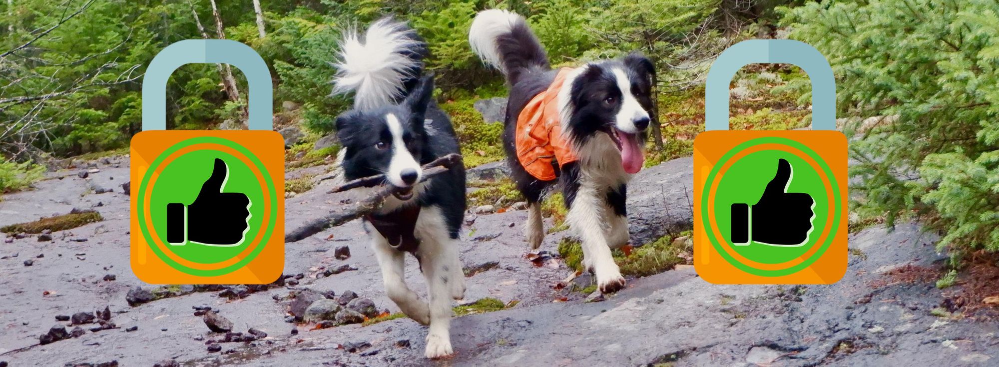 Fetch API for Oracle APEX - Part 3: Security SIMPLIFIED Fetch API for Oracle APEX - Part 3: Security SIMPLIFIED